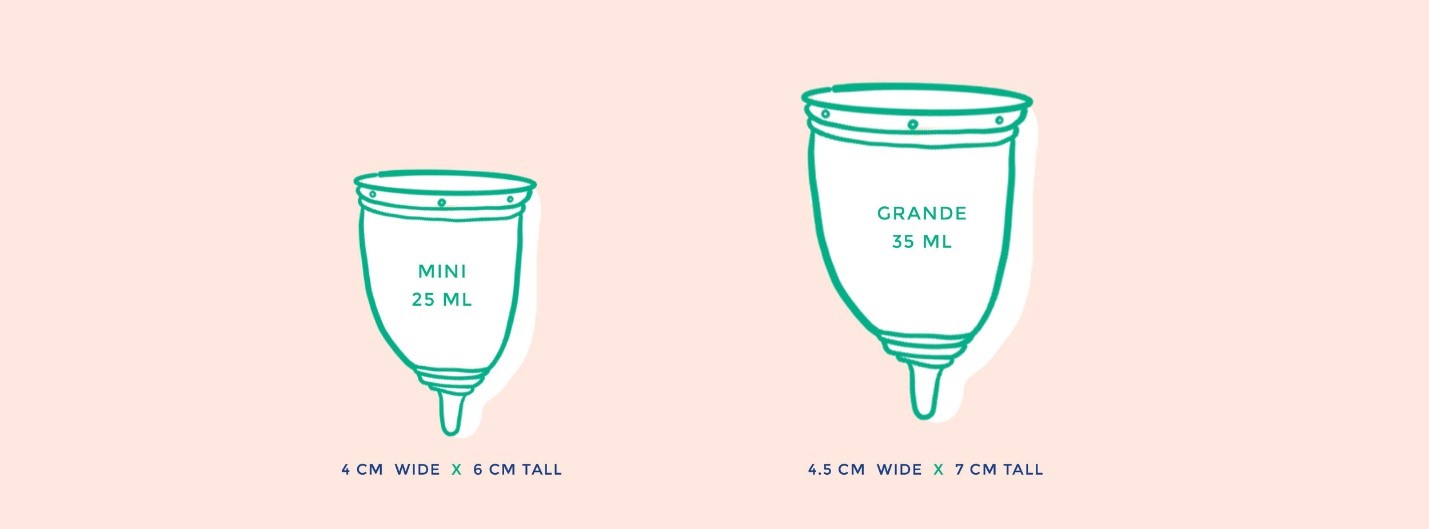 The Wonders of Freedom Cups - The Sustainability Project